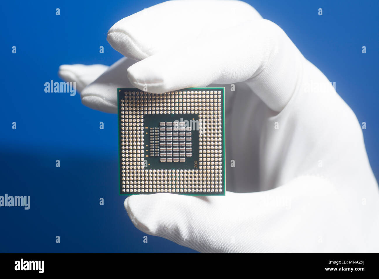 Hand in white glove holding a CPU computer processor microchip on blue ...