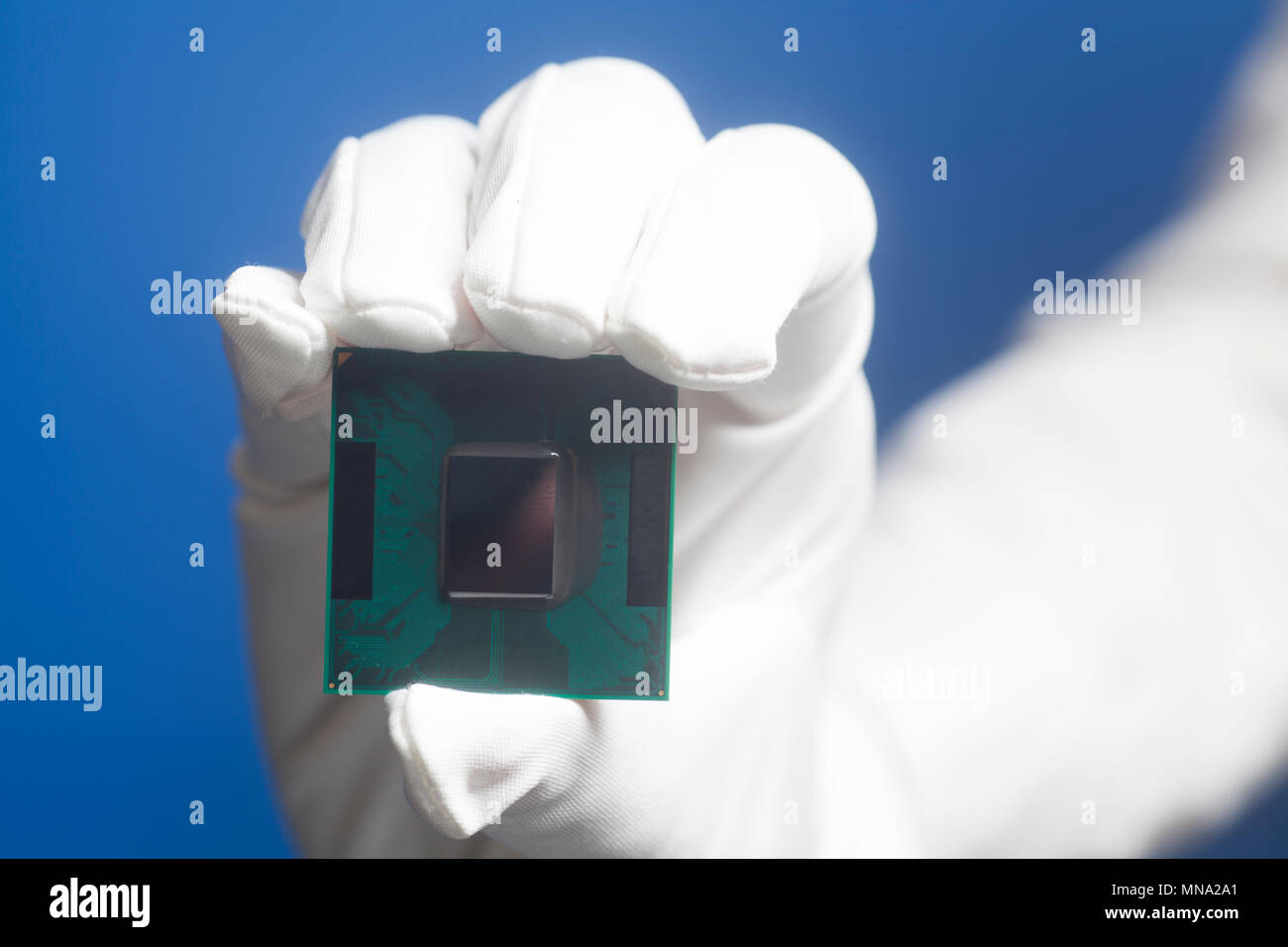 Hand in white glove holding a CPU computer processor microchip on blue ...