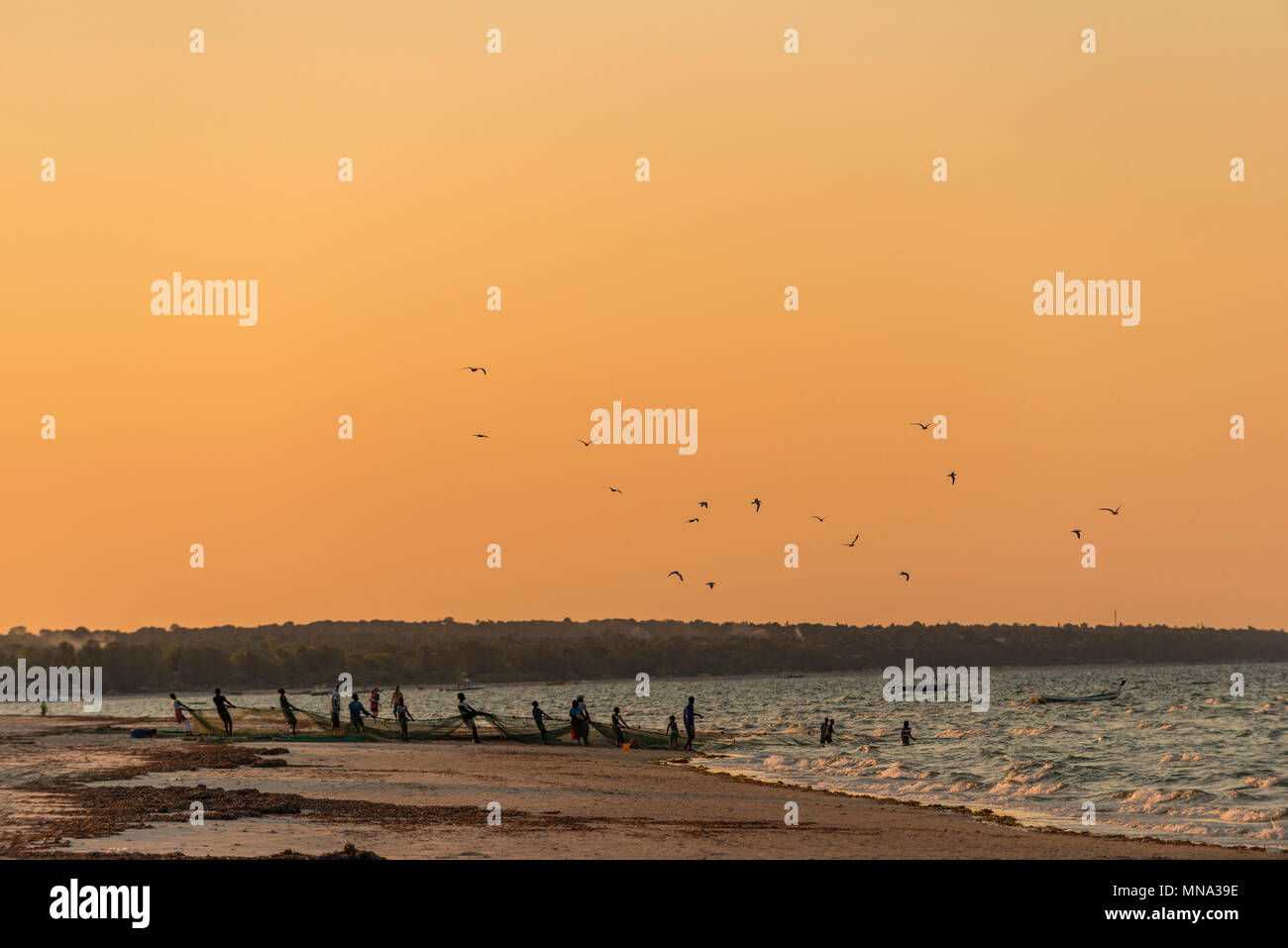 Local fishermen in Inhassoro Mozambique pulling in nets Stock Photo - Alamy