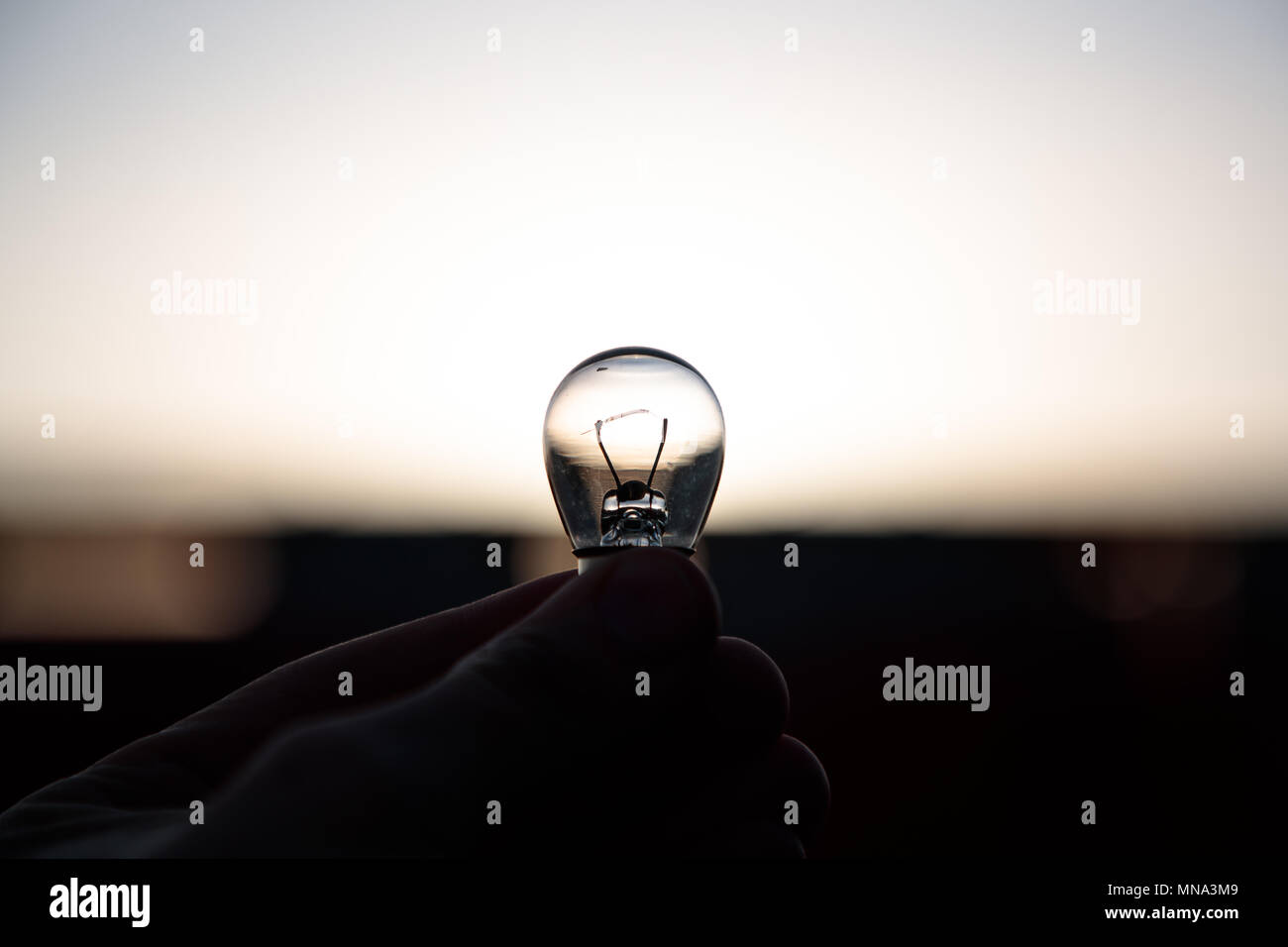 hand holds a small light bulb Stock Photo - Alamy