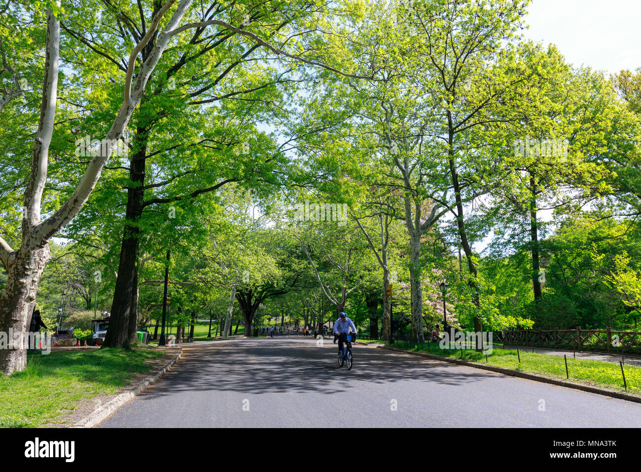 New york, United States - May 12, 2018 : View of Central Park in New ...