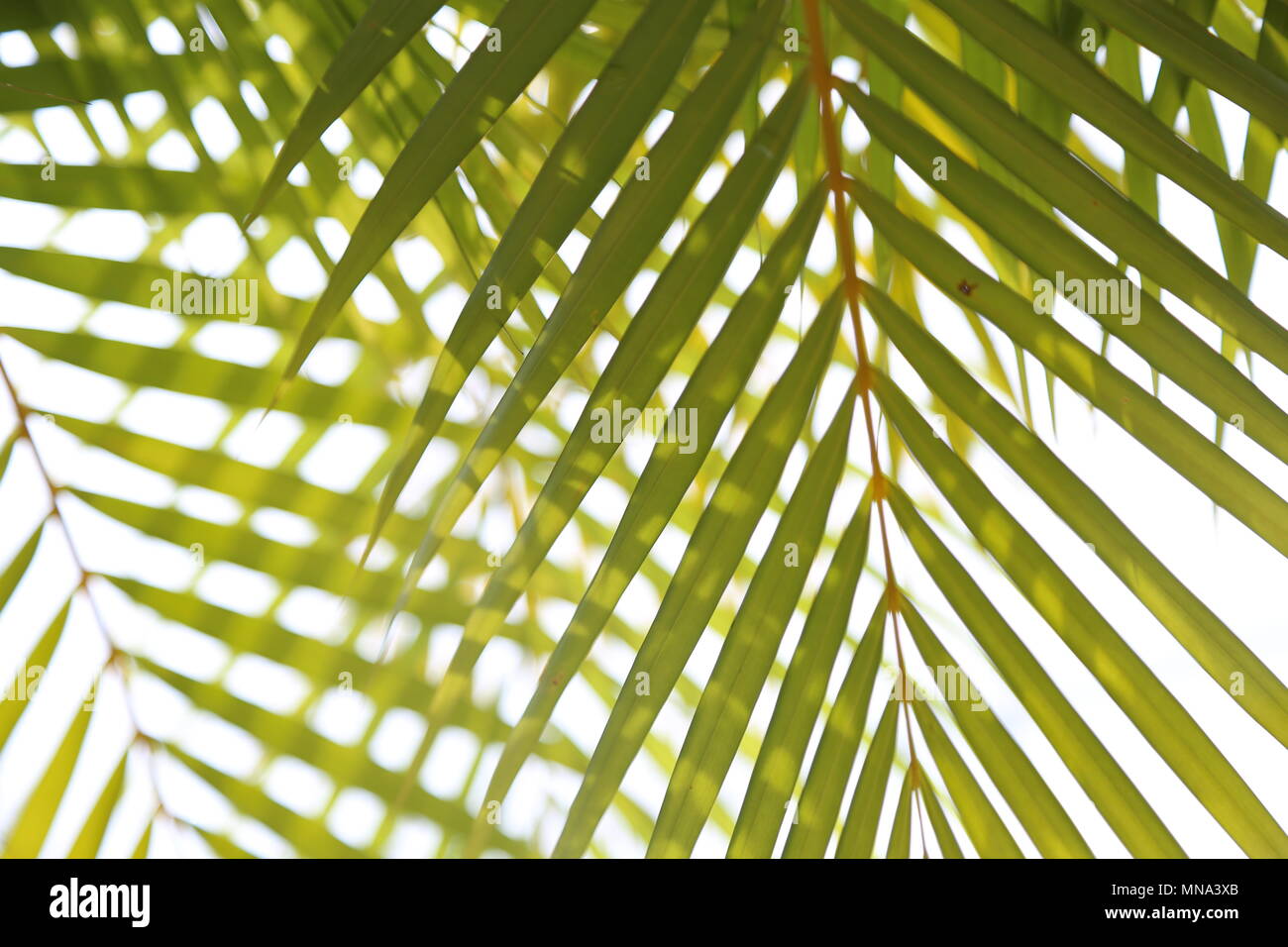 Different point of view hi-res stock photography and images - Alamy