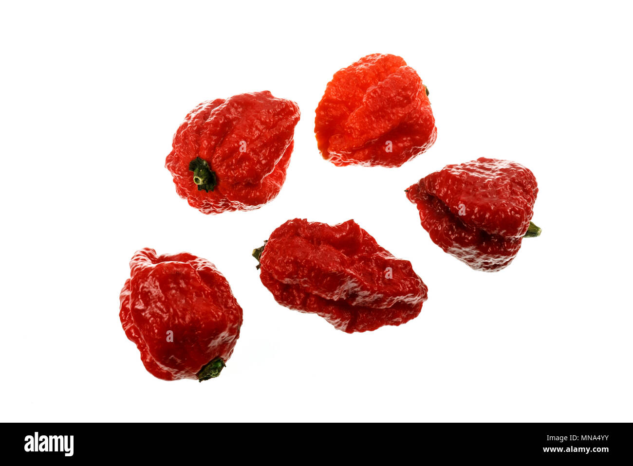 The Carolina Reaper is a medium sized chili pepper of the species ...