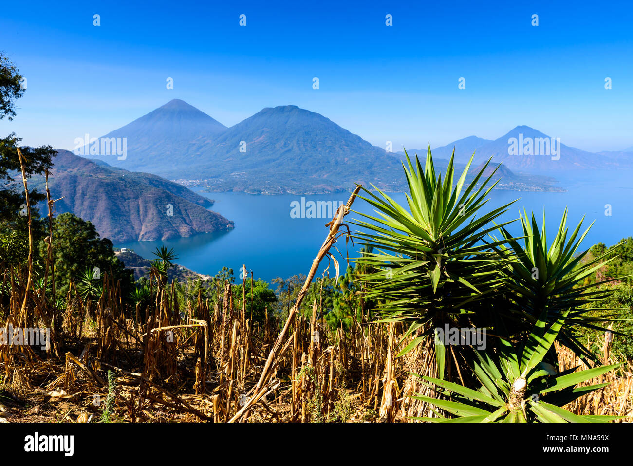 Panorama view of the lake Atitlan and volcanos in the highlands of ...