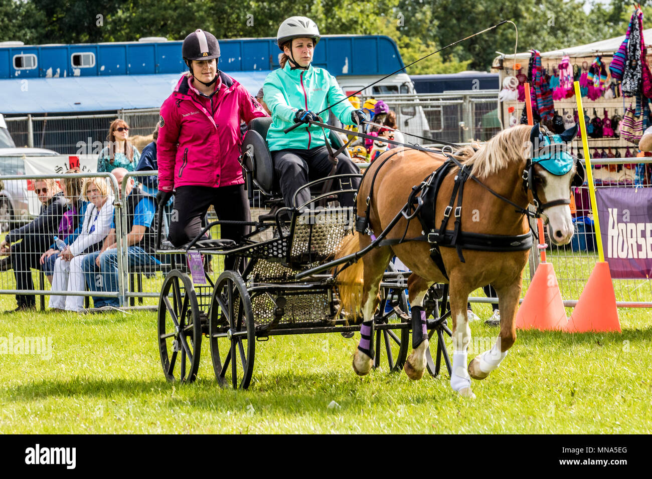 Scurry racing at Country show at Tabley show ground Cheshire UK Stock ...
