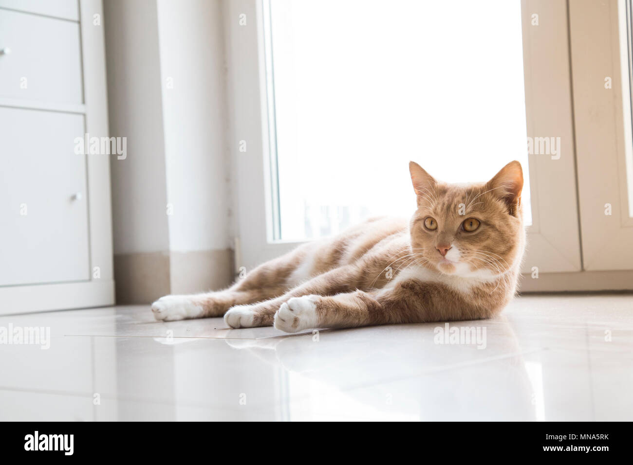 Sprawled Body High Resolution Stock Photography and Images - Alamy