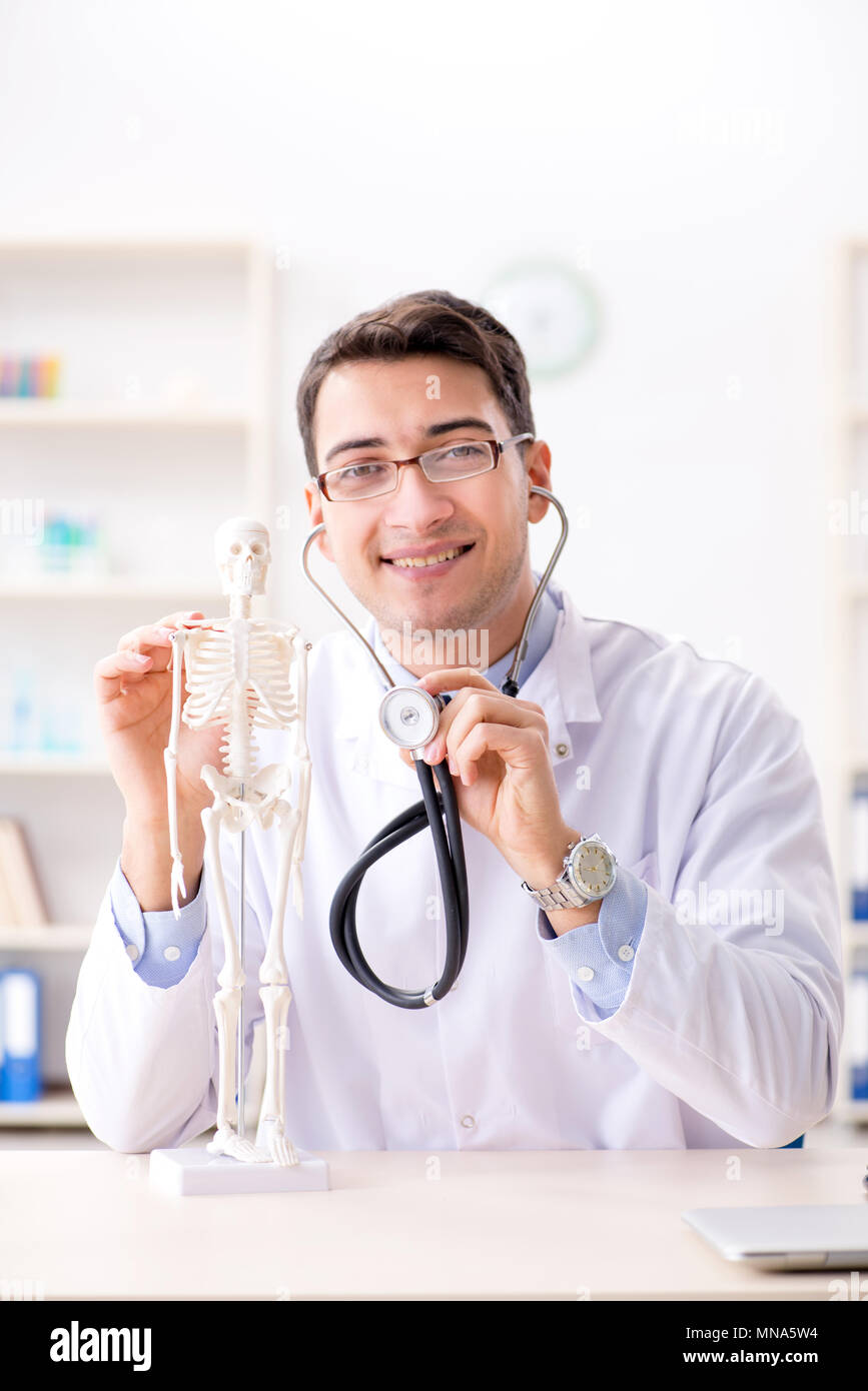 Doctor explaining human body on skeleton Stock Photo - Alamy