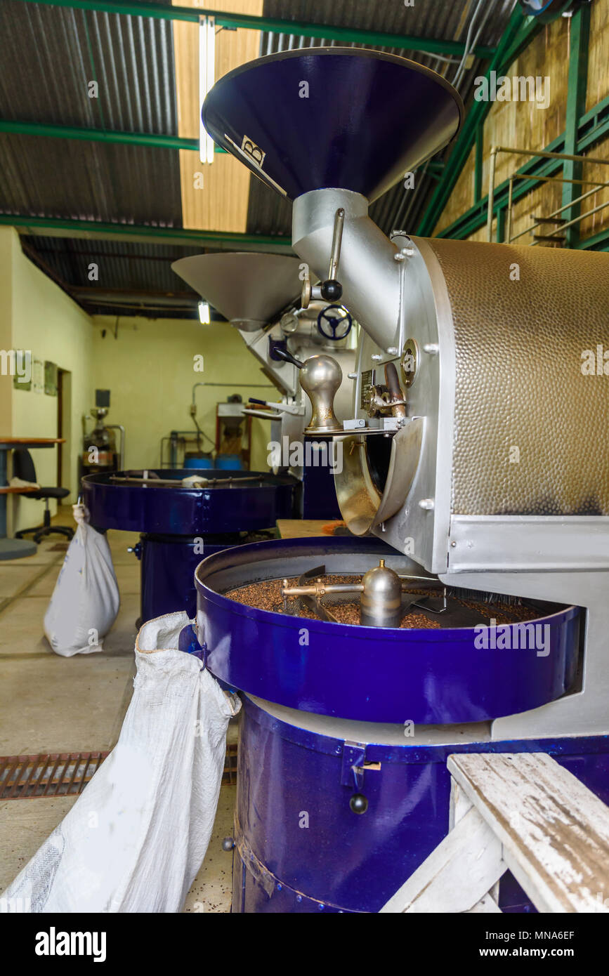 Coffee beans during the roasting process. Drum type roaster. Rosting ...