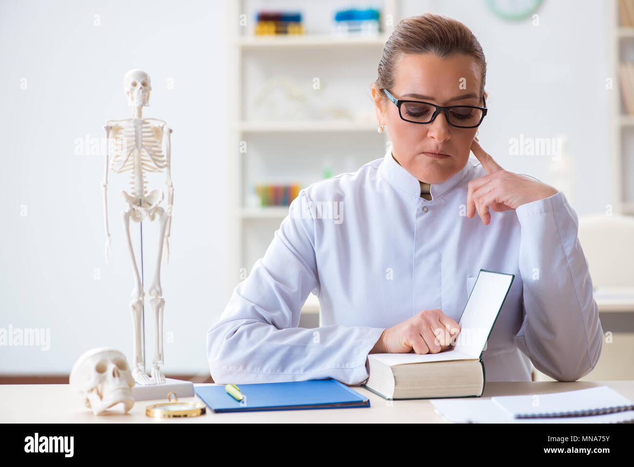 Woman doctor studying human skeleton Stock Photo - Alamy