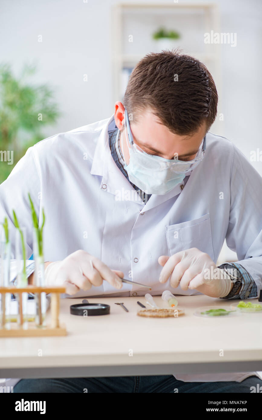 Male biochemist working in the lab on plants Stock Photo - Alamy