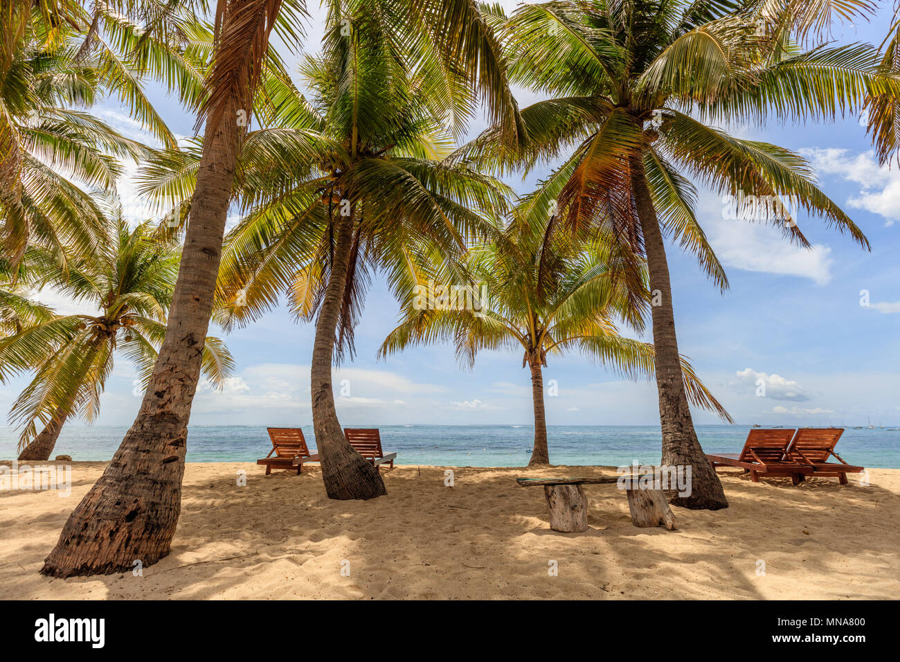 View of white sand Nemberala Beach with sunloungers and palm trees ...