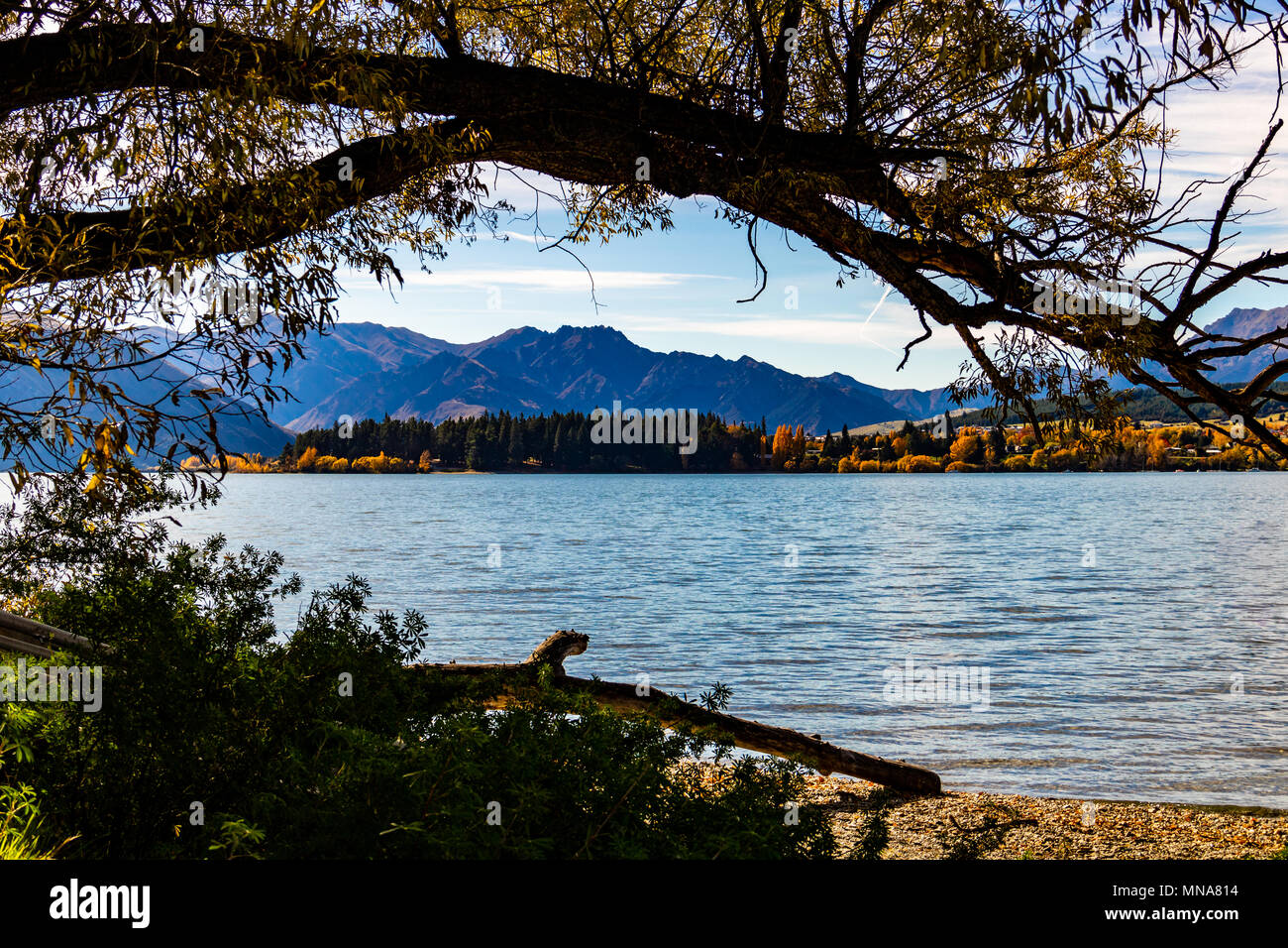 Lake Wanaka in autumn Stock Photo - Alamy