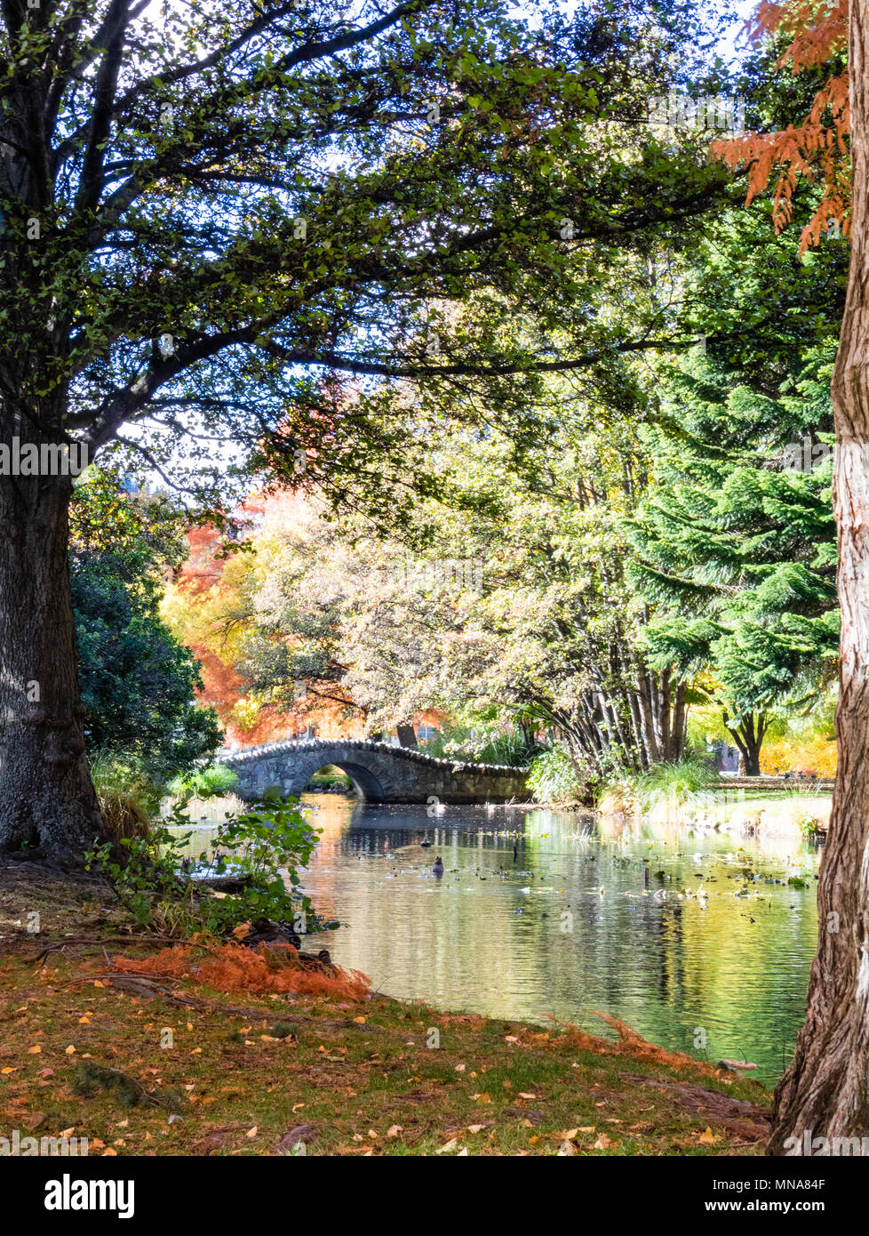 Pretty bridge in parklands Stock Photo - Alamy