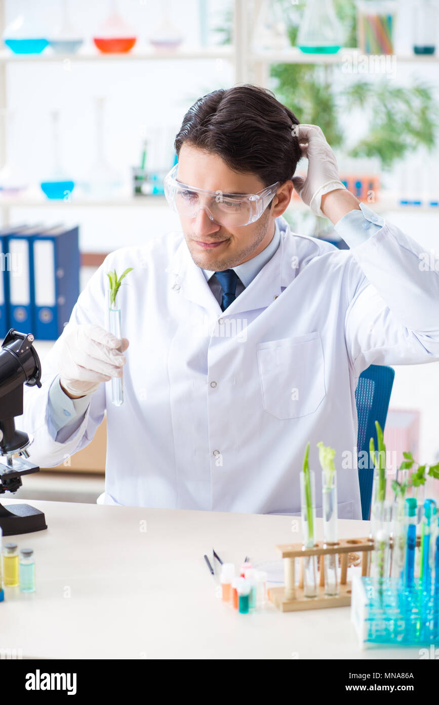 Male biochemist working in the lab on plants Stock Photo - Alamy