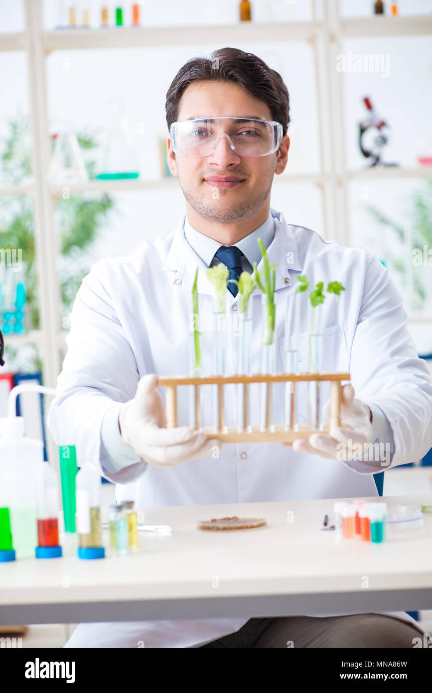 Male biochemist working in the lab on plants Stock Photo - Alamy