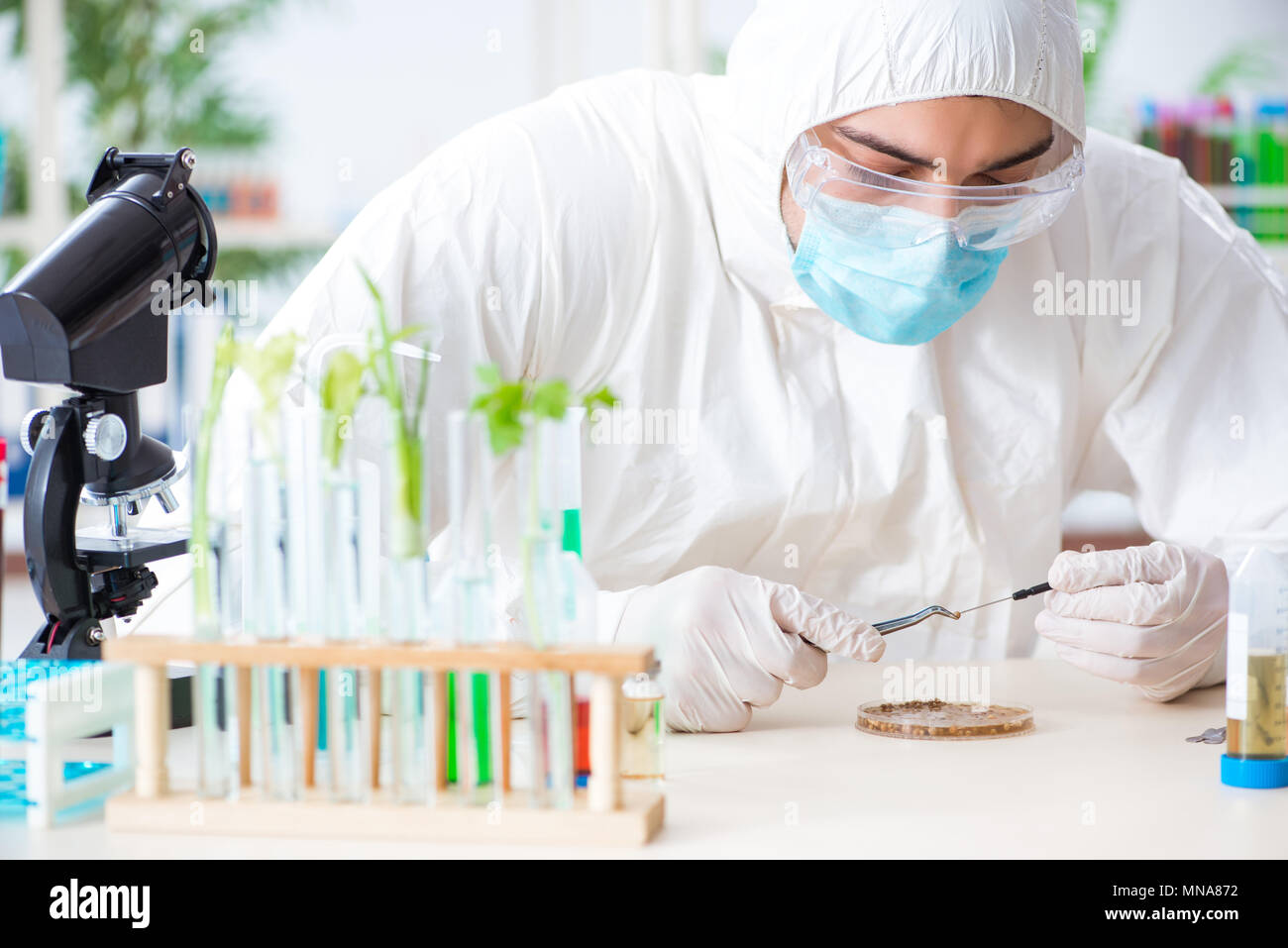 Male biochemist working in the lab on plants Stock Photo - Alamy