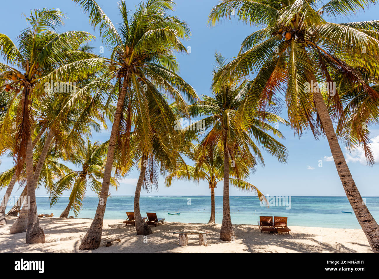 View of white sand Nemberala Beach with sunloungers and palm trees ...