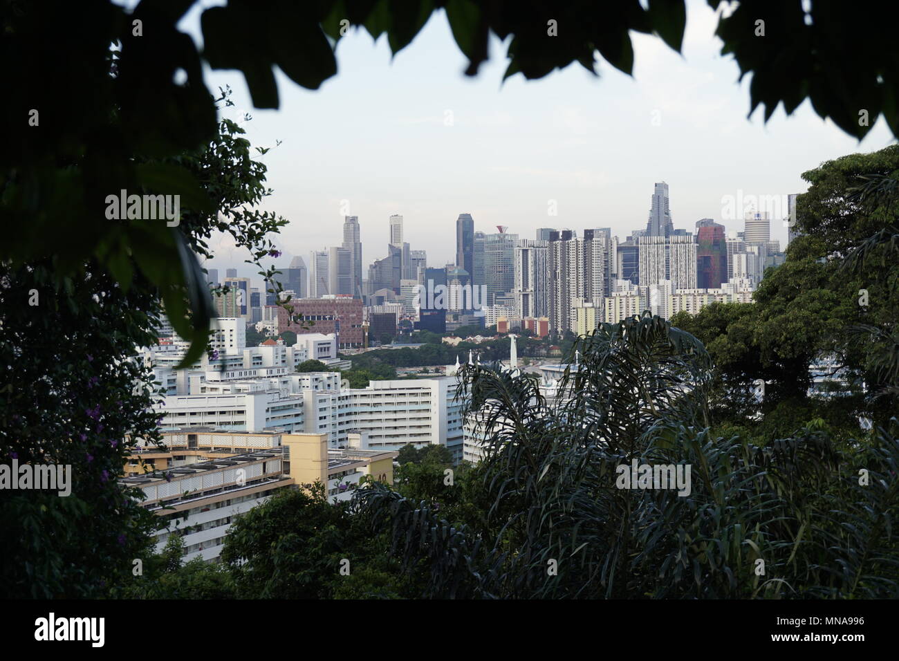 Mount Faber Park High Resolution Stock Photography and Images - Alamy
