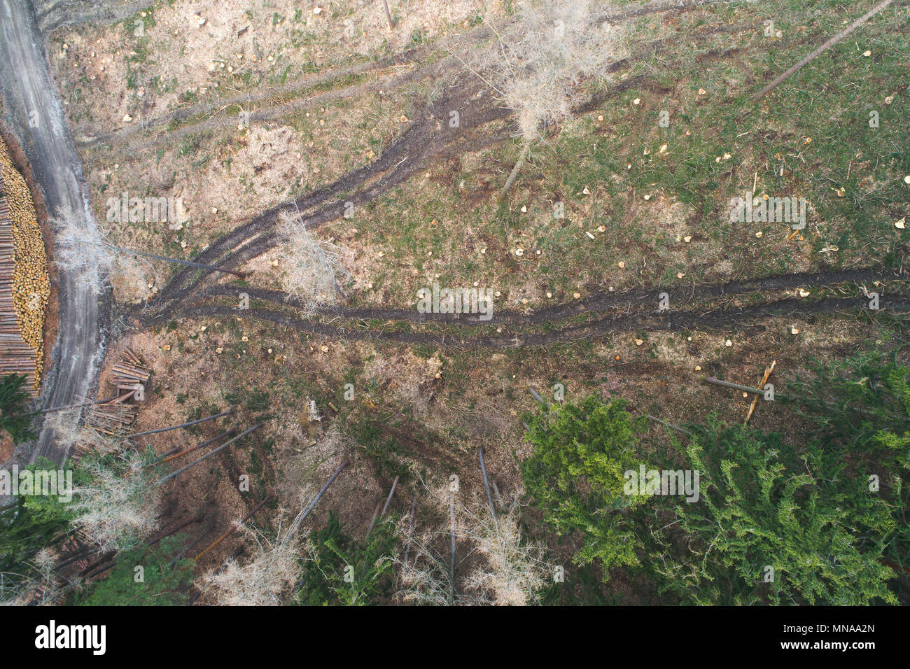 aerial drone flight with copter over deforested forest in austria in ...