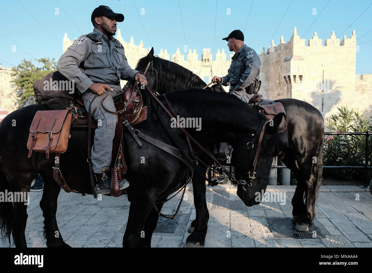 Palestinian horse hi-res stock photography and images - Alamy