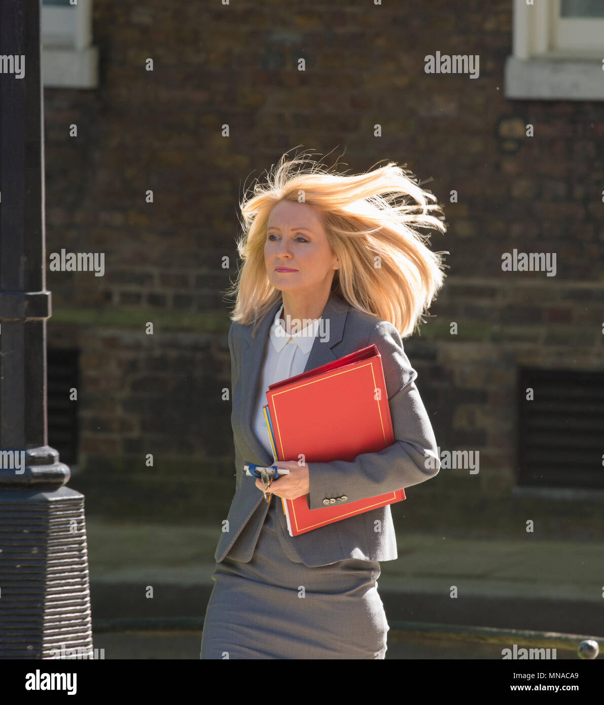 Esther Mcvey Stock Photos & Esther Mcvey Stock Images - Alamy