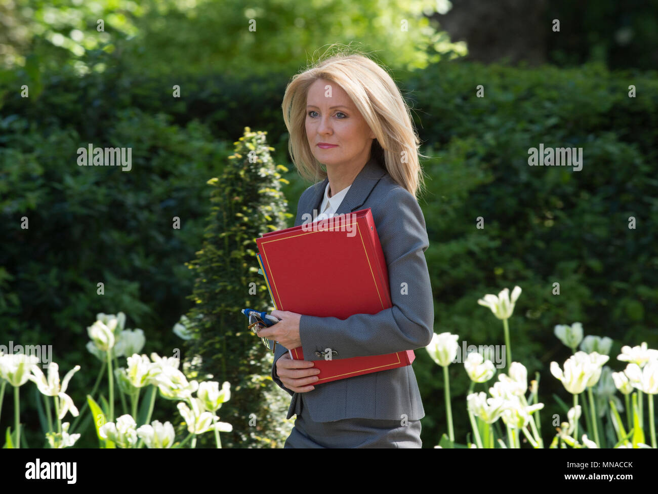 Downing Street, London, UK. 15 May 2018. Esther McVey, Secretary of ...