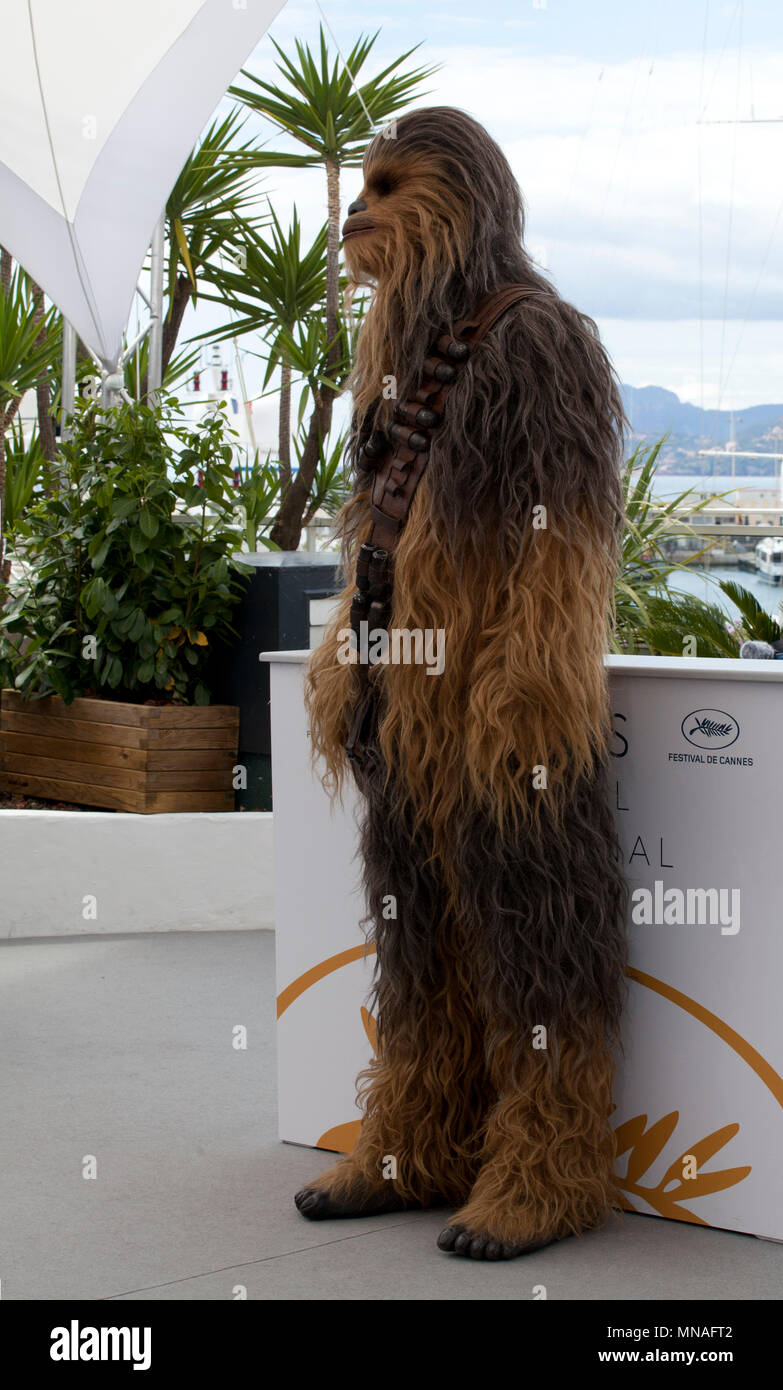 Chewbacca at the Solo: A Star Wars Story film photo call at the 71st ...