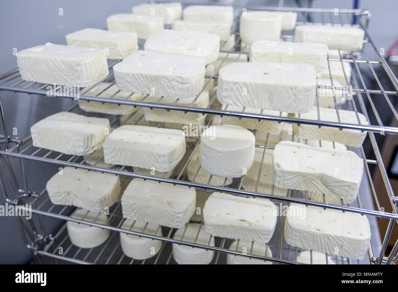 28 April 2018, Germany, Semlow: Soft cheese lying in the village's ...