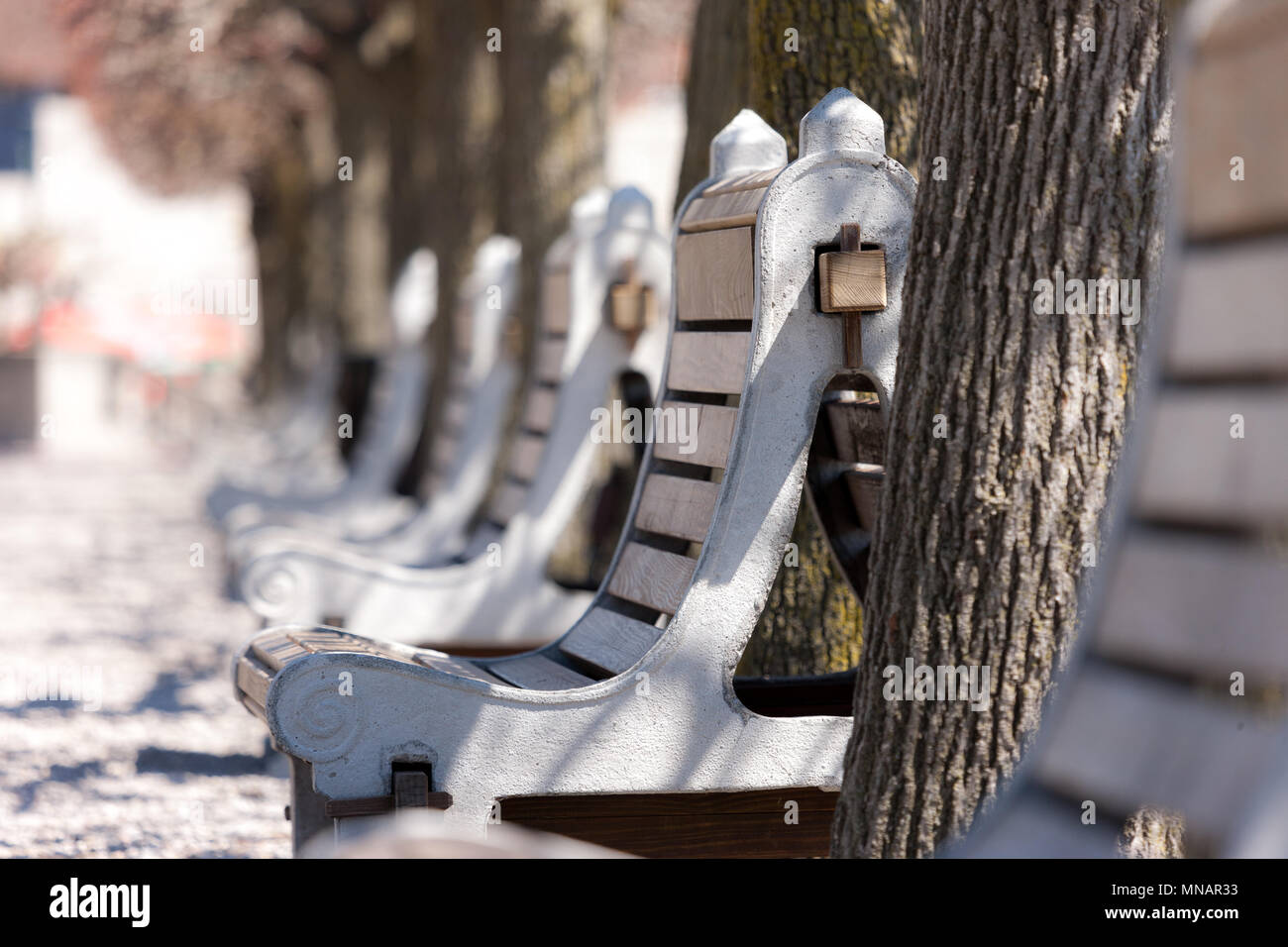 Park benches in a public park in Niagara Falls, Ontario, Canada Stock ...