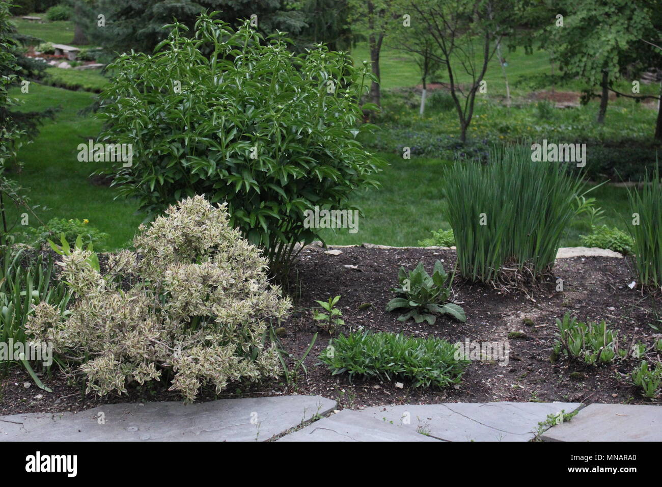 In an upscale neighborhood, this is the view from the backyard patio of ...