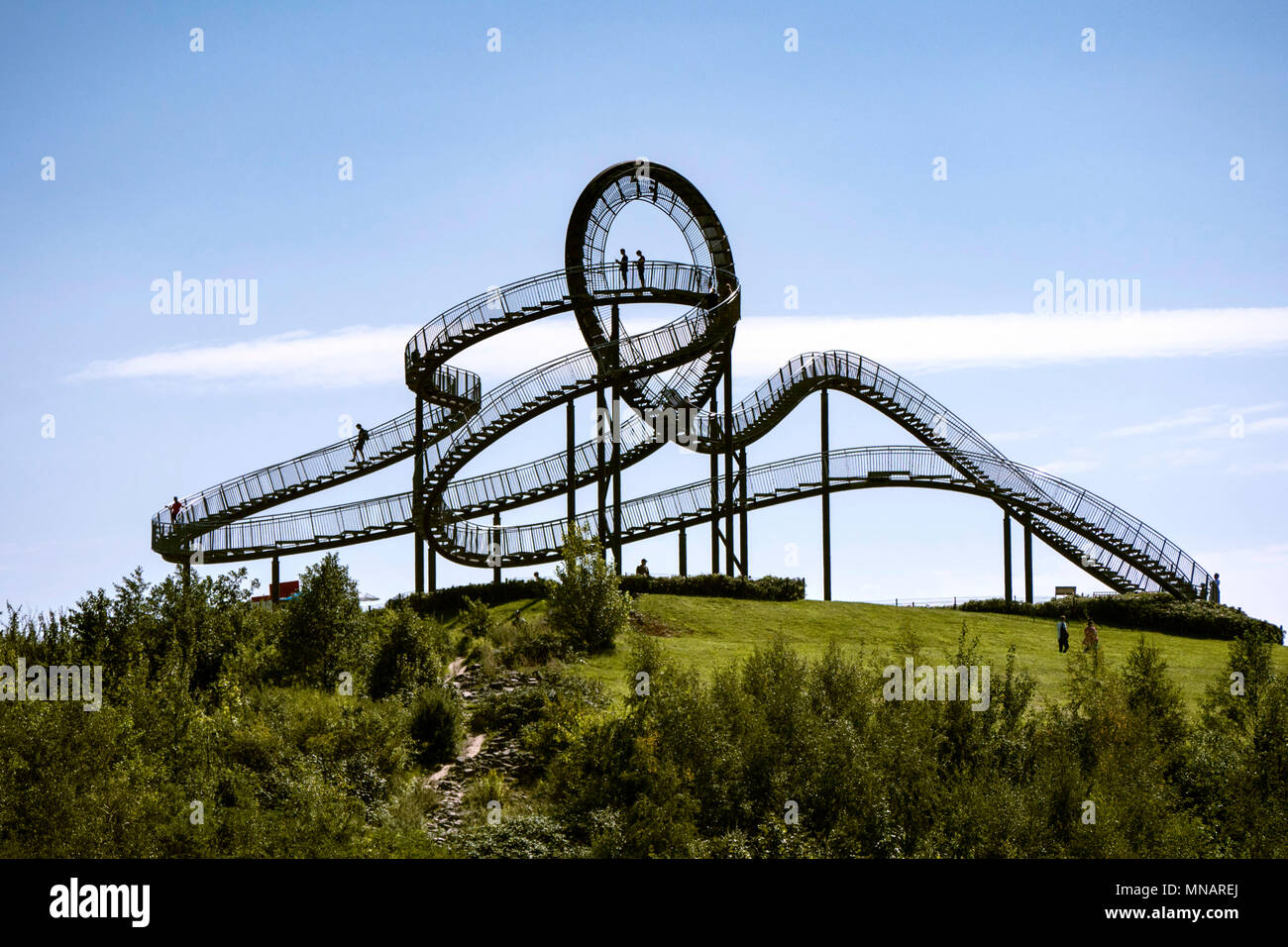 Tiger and Turtle – Magic Mountain Stock Photo - Alamy