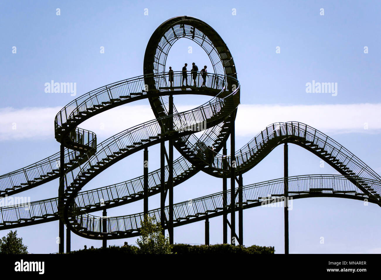 Tiger and Turtle – Magic Mountain Stock Photo - Alamy