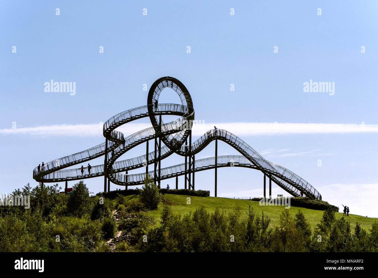 Tiger turtle hi-res stock photography and images - Alamy