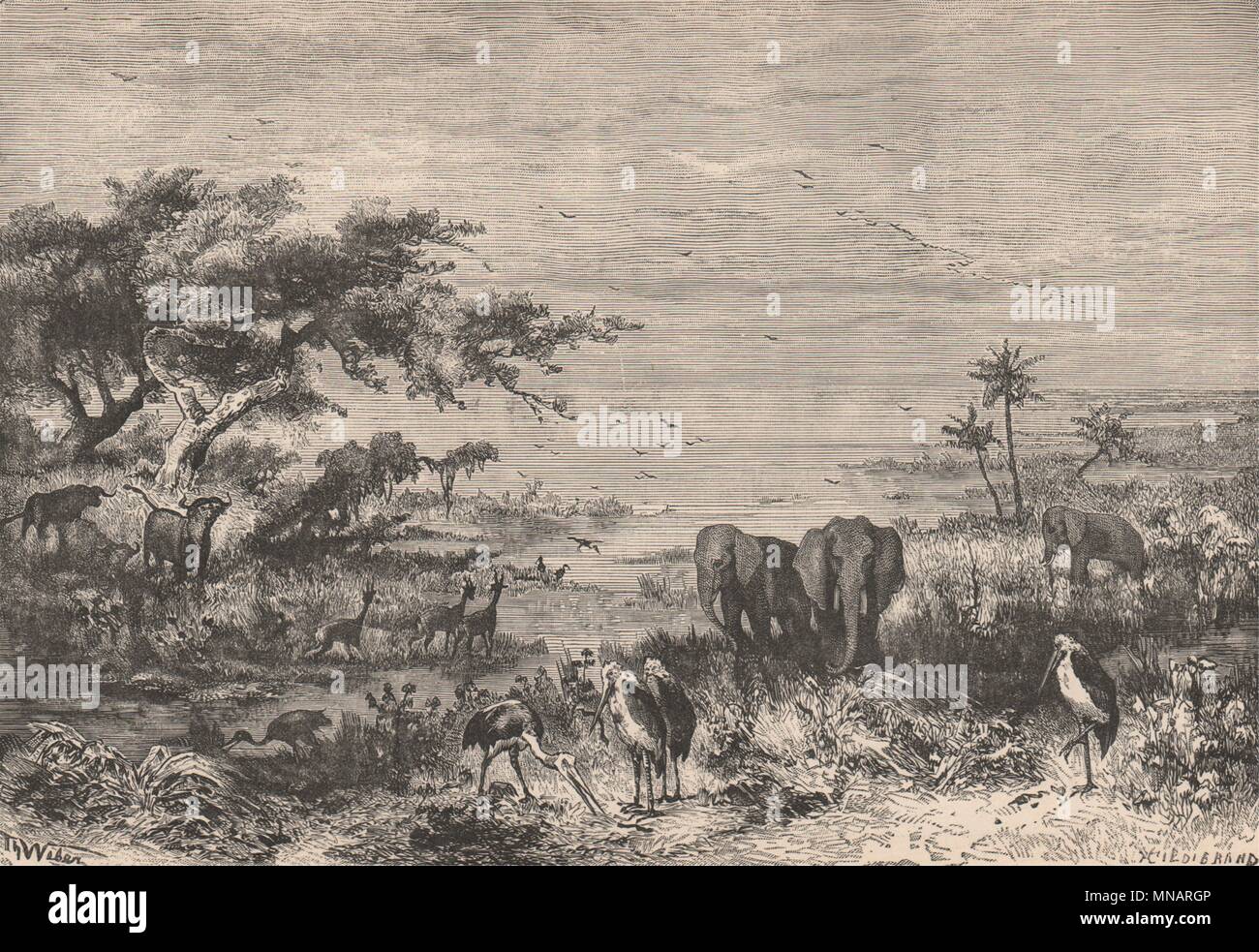 Shores of Lake Chad. Chad. The Chad Basin 1885 old antique print ...