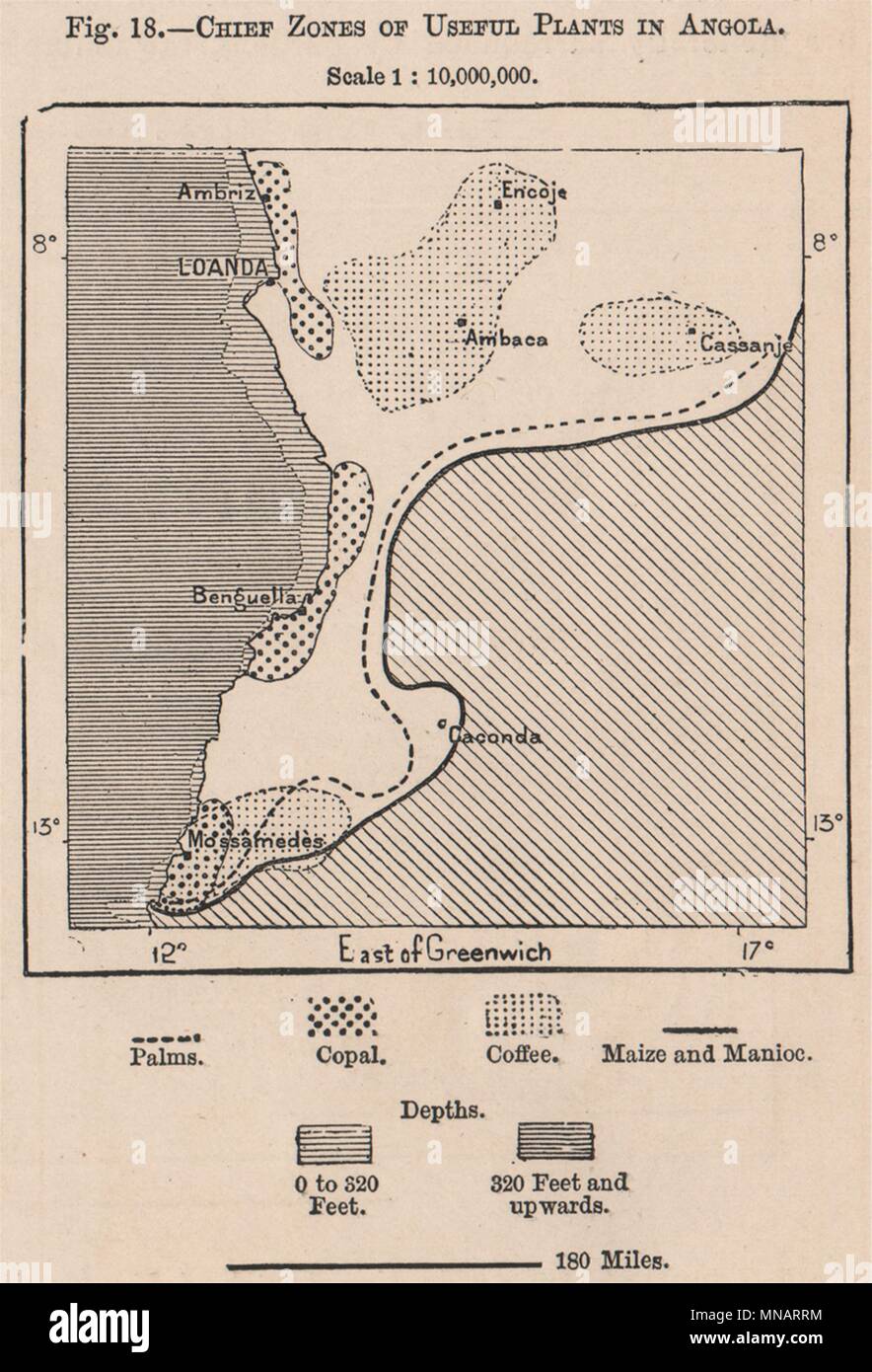 Chief Zones of Useful Plants in Angola 1885 old antique vintage map ...