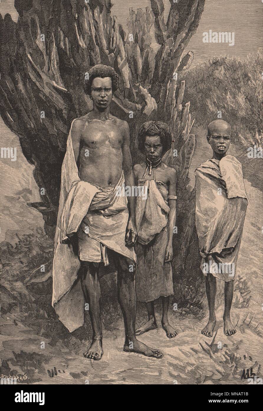 Galla people. Ethiopia 1885 old antique vintage print picture Stock ...