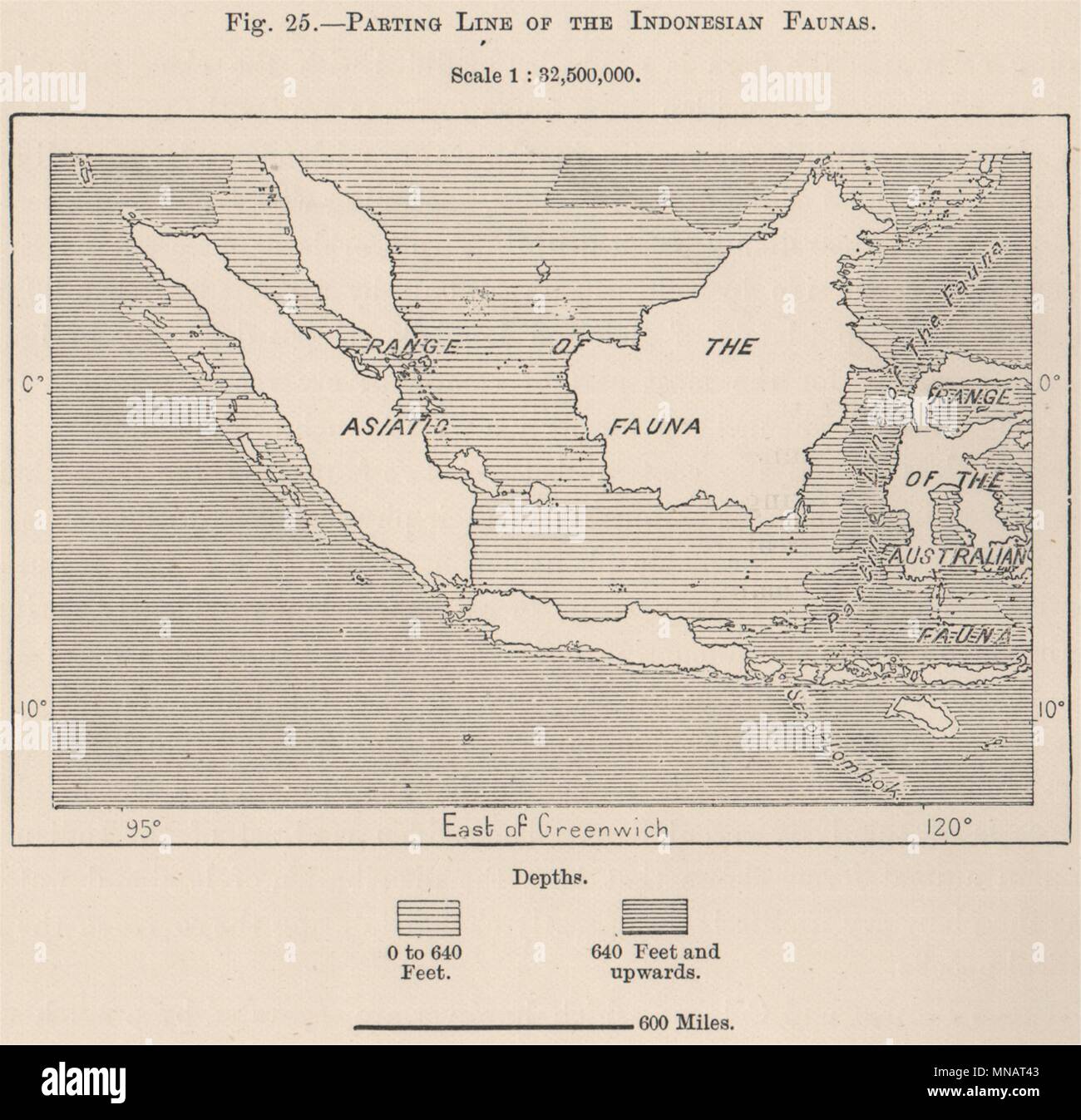Wallace Line separating the Indonesian Faunas. East Indies 1885 old map ...