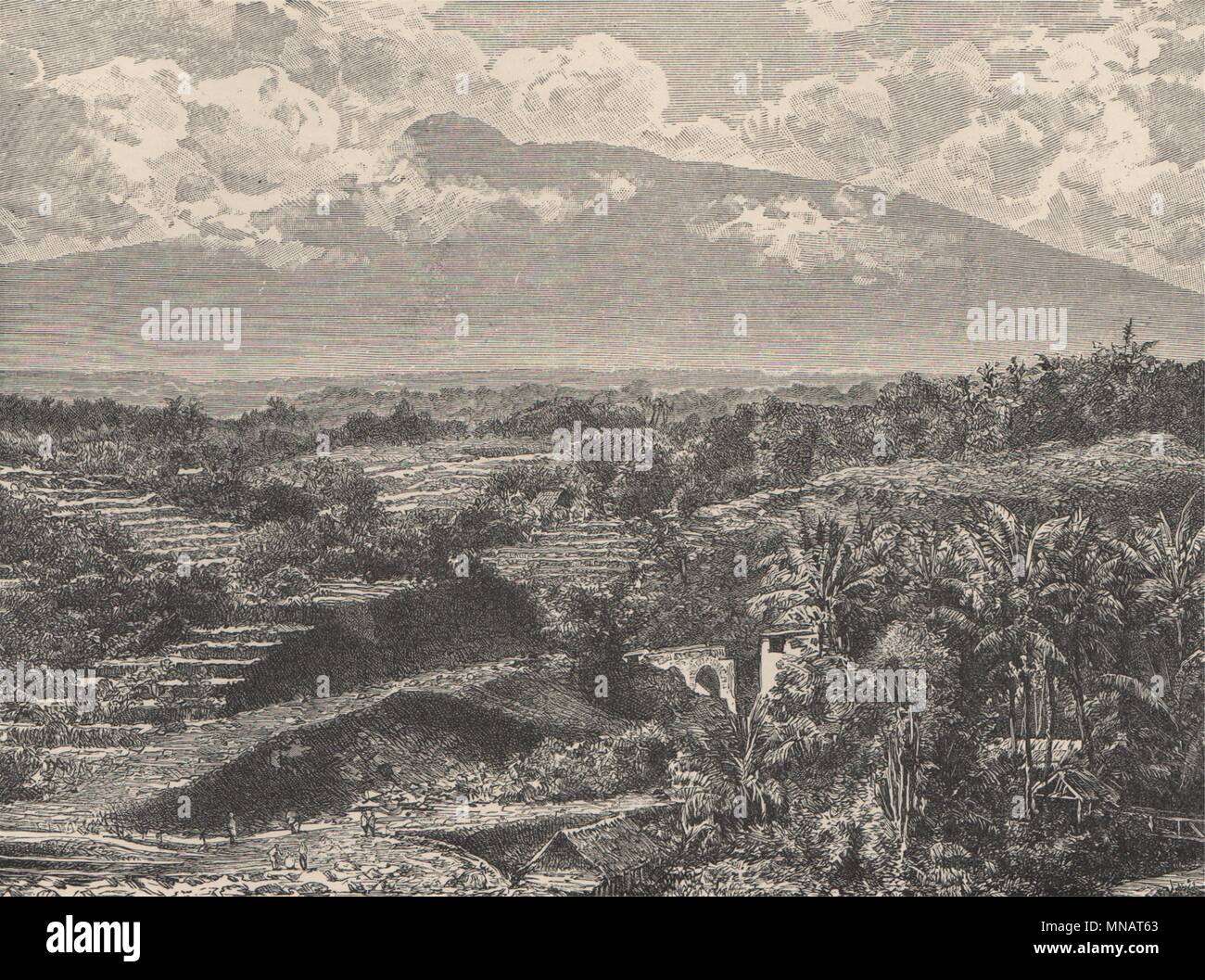 Kota bogor java indonesia hi-res stock photography and images - Alamy