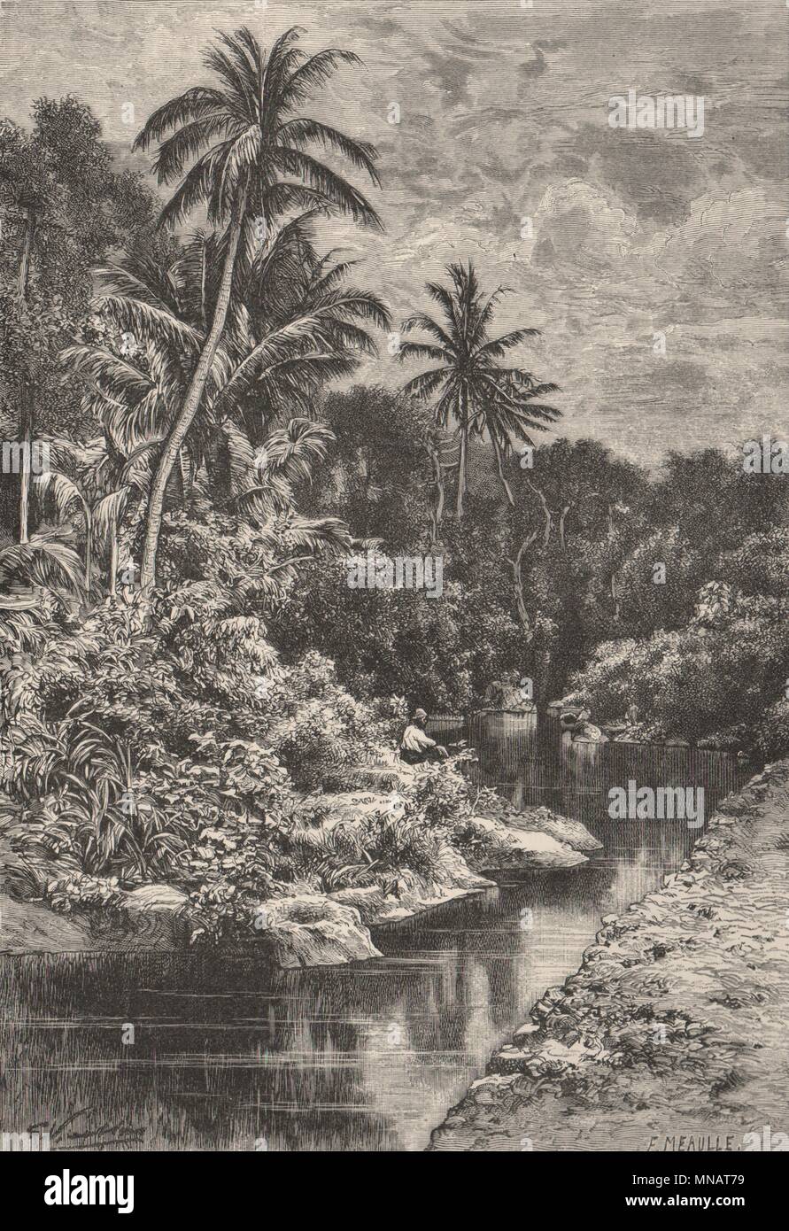 View taken in a forest near Kupang, Timor. Indonesia. East Indies 1885 ...