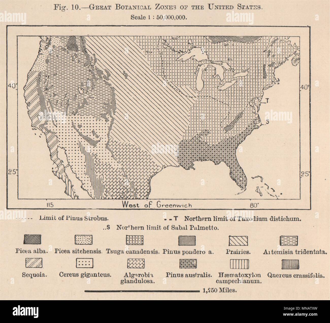 Great Botanical Zones of the United States. USA 1885 old antique map ...