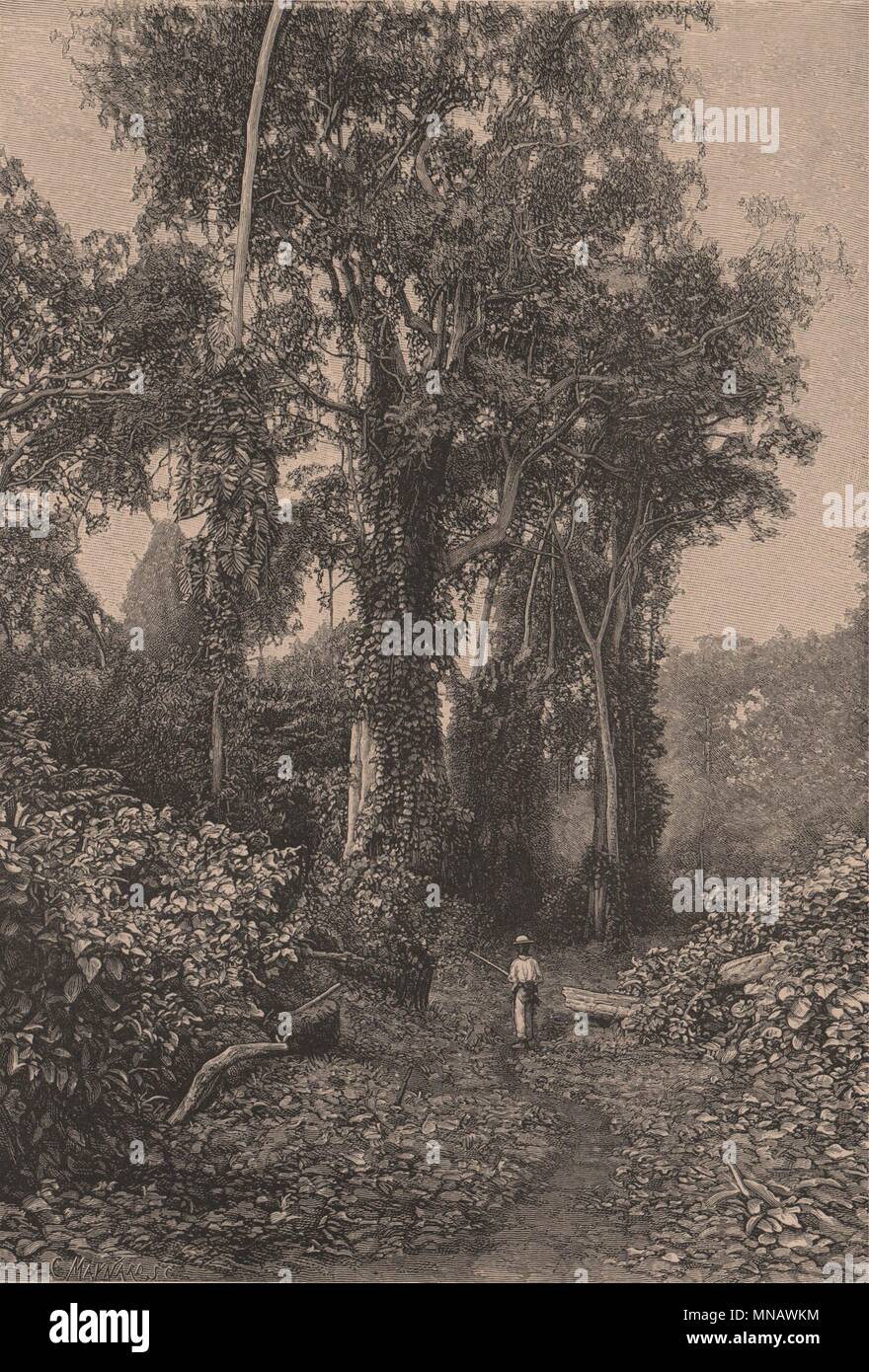 Antique Scenery The Tomb Of The Poet Virgil. Roman Era Crypt In