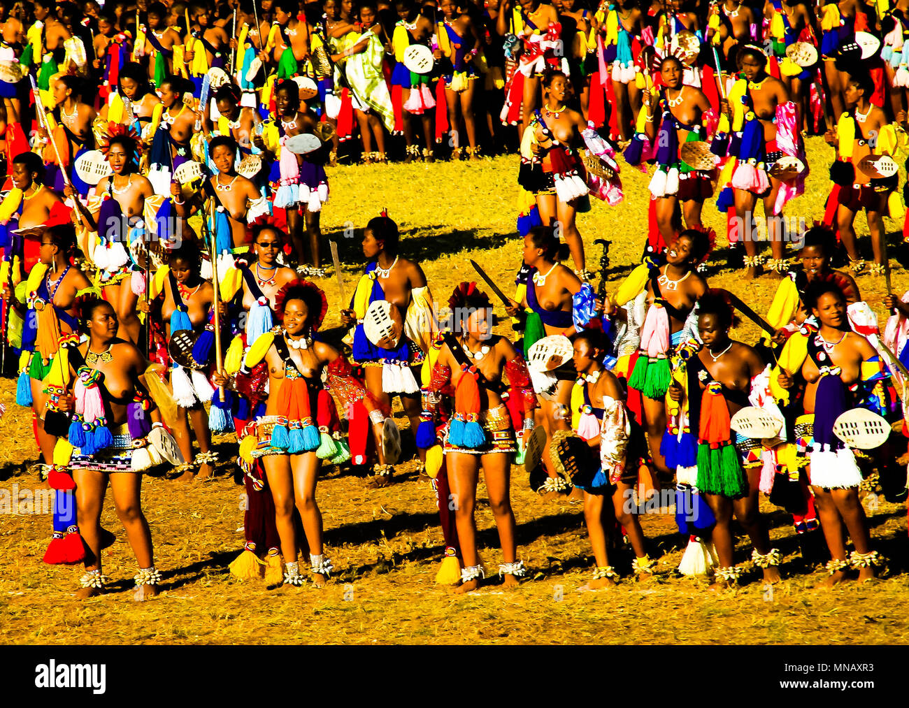 Swaziland Reed Dance Stock Photos & Swaziland Reed Dance Stock Images ...