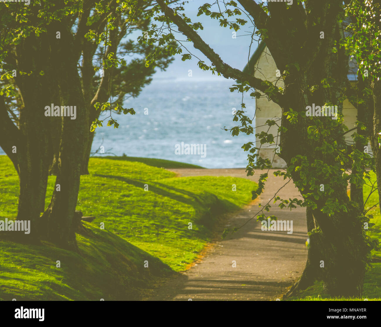 Villa conceptual hi-res stock photography and images - Alamy