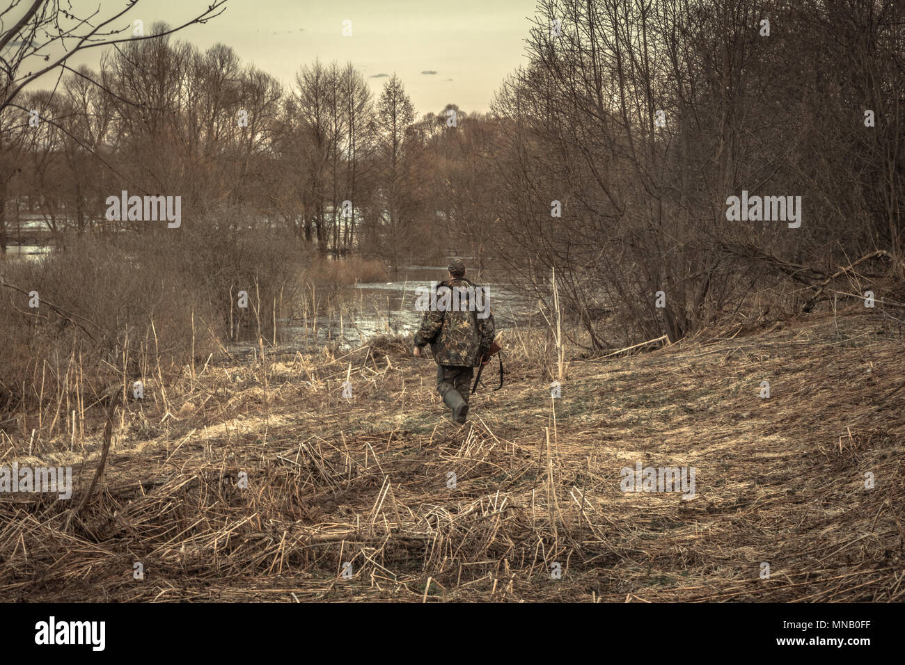 Creeping animals hi-res stock photography and images - Alamy