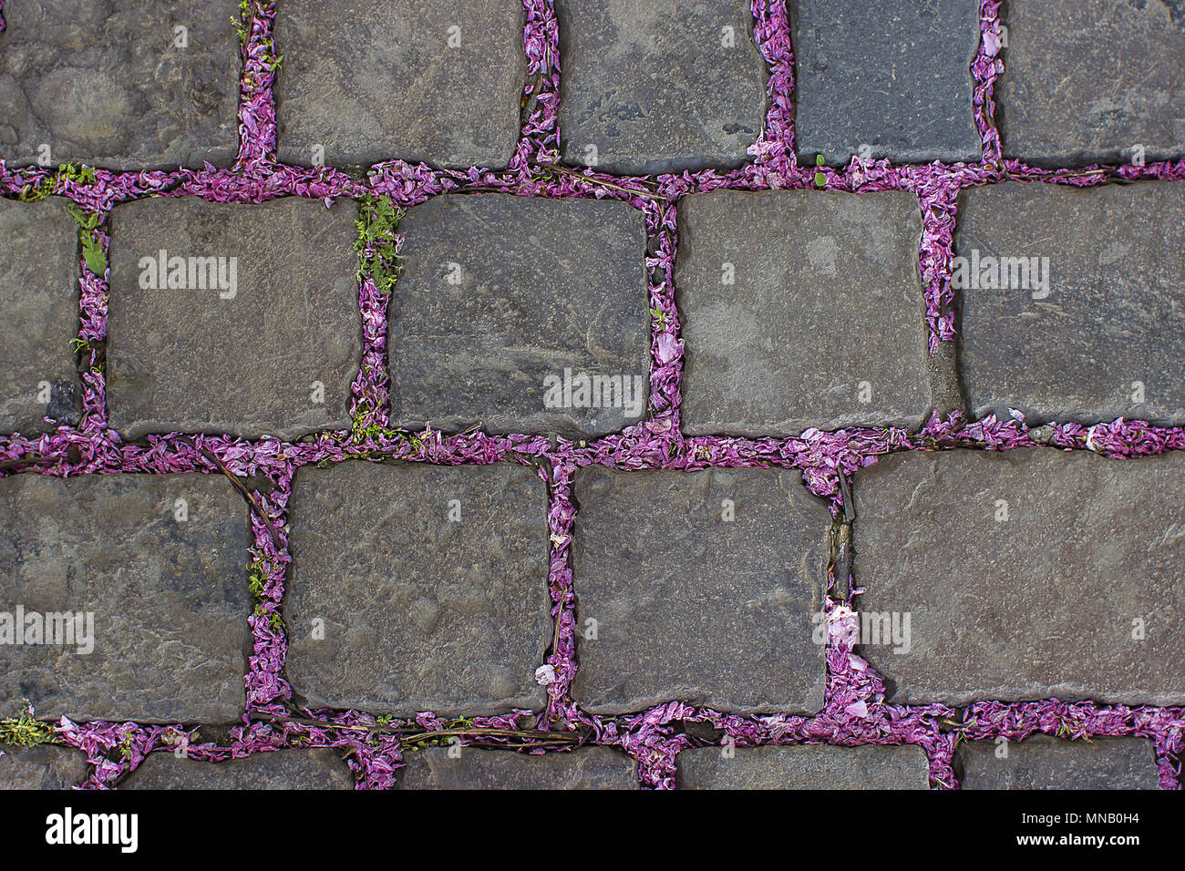 Old sidewalk paving stones background or texture Stock Photo - Alamy