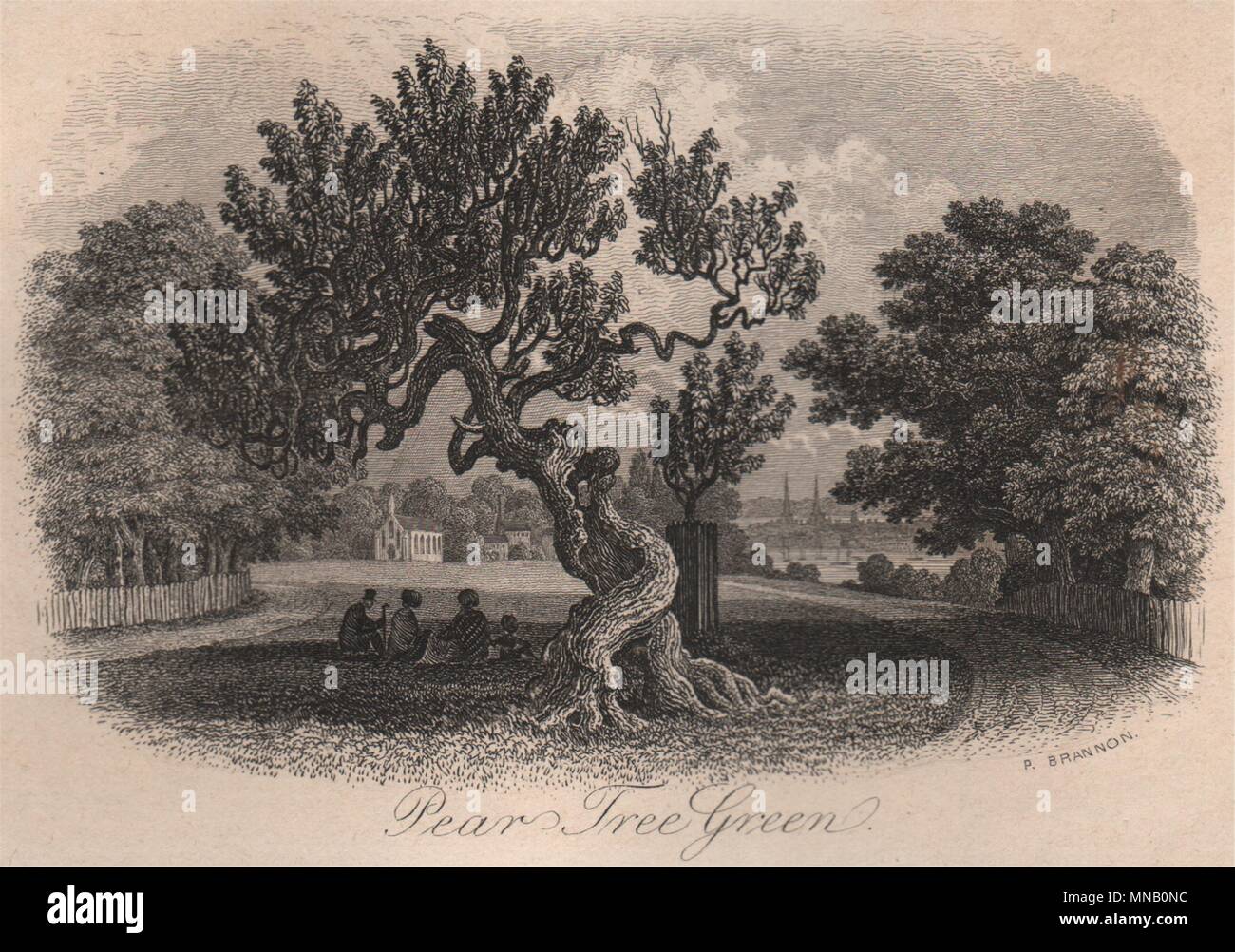 Peartree hi-res stock photography and images - Alamy