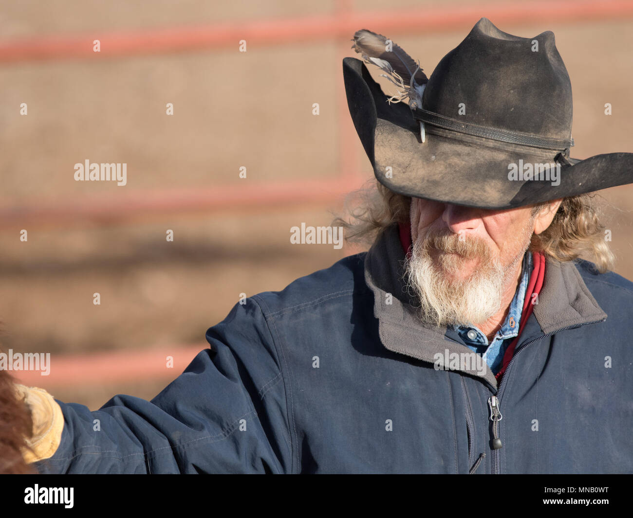 Real cowboy hi-res stock photography and images - Alamy