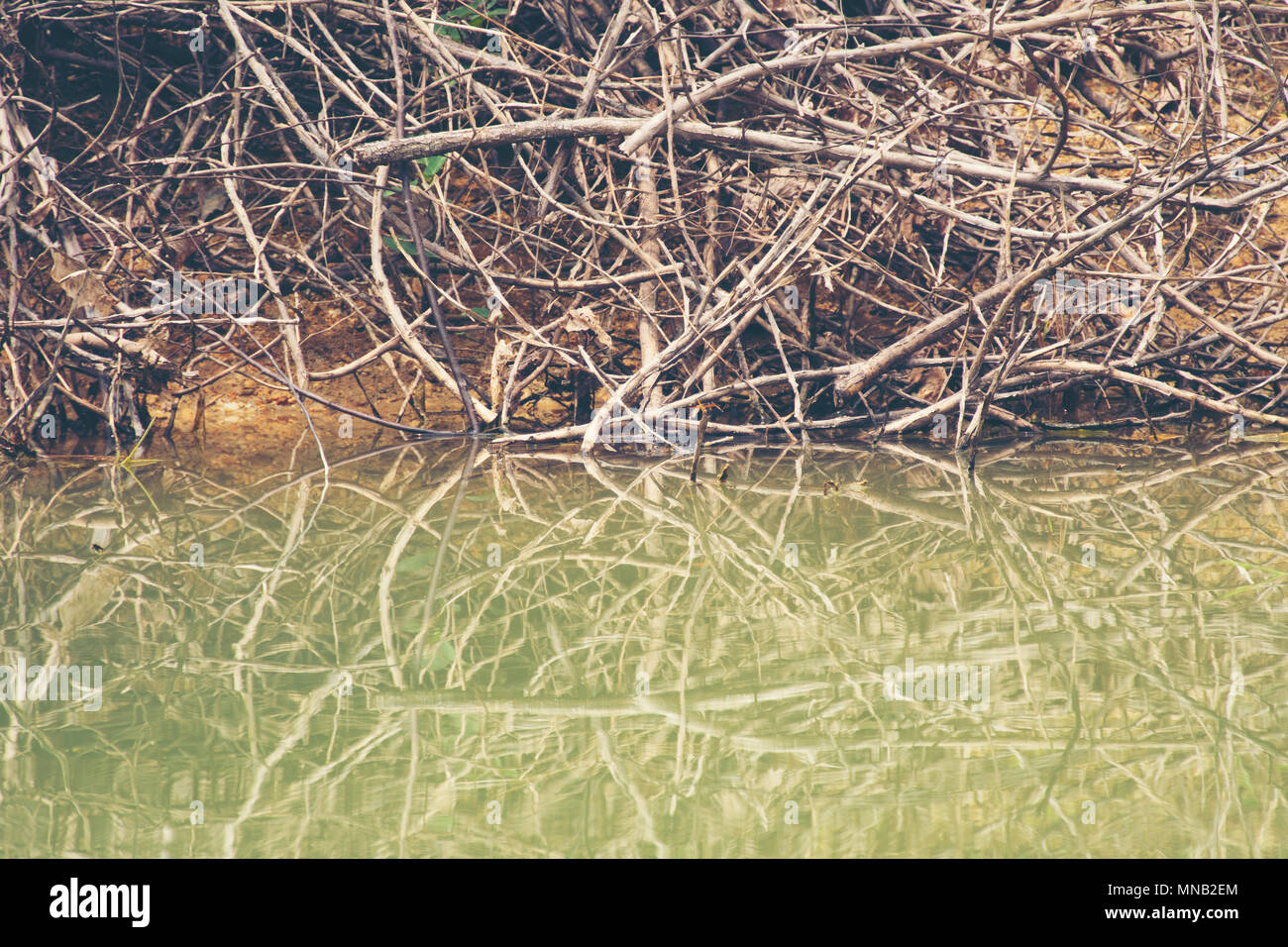 Natural scence hi-res stock photography and images - Alamy
