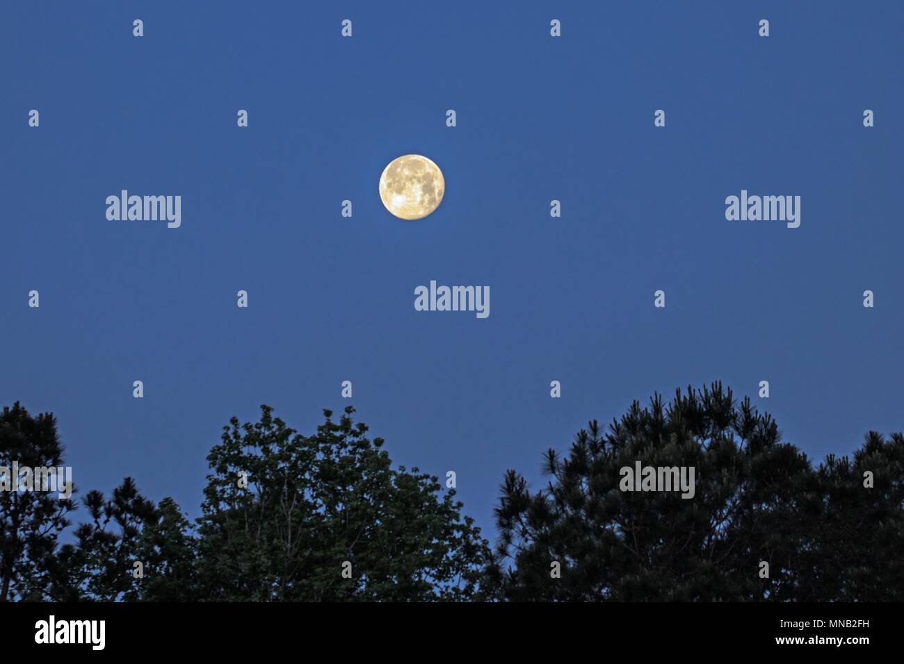 Telephoto lens photo of the moon hi-res stock photography and images ...