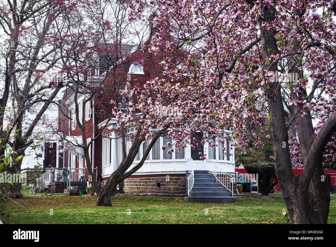 Castor street hi-res stock photography and images - Alamy